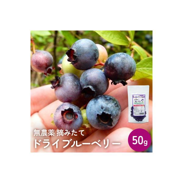 ■お礼品詳細■お申し込み・配送・その他　・発送時期：入金確認後14日以内に発送予定 　・申込受付期間：最終受付日:2025年12月31日 最終出荷日:2026年3月31日　・配達外のエリア：　・寄付証明書の送付時期目安：申込完了日から１〜３...