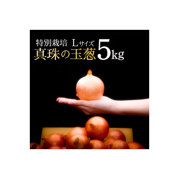 ■お礼品詳細　・配送種別：常温■お申し込み・配送・その他　・発送時期：2025年9月〜2026年1月中旬※収穫の状況により前後する場合がございます。（お届け時間帯指定可）　・申込受付期間：通年　・配達外のエリア：離島　・寄付証明書の送付時期...