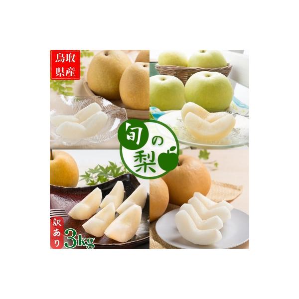■お礼品詳細　・内容量：鳥取県産梨　3〜10玉前後　3kg　・消費期限：出荷日から常温4日、冷蔵7日以内(到着後お早めに召し上がりください)　・配送方法：通常　・事業者名：高間商店株式会社■お申し込み・配送・その他　・発送時期：2025年1...
