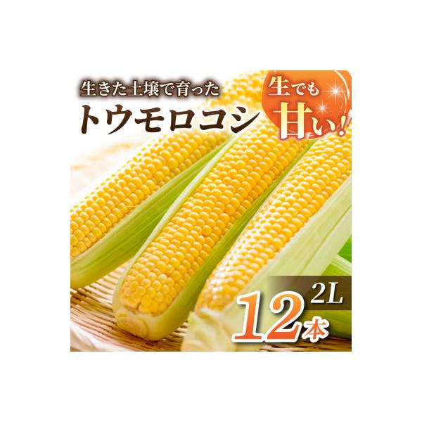 ■お礼品詳細　・内容量：とうもろこし（ゴールドラッシュ、味来）2Lサイズ12本、５kg以上※時期により品種が変わります　・消費期限：生食の場合、お届け当日。調理の場合、1週間以内。　・保存方法：お受け取り後はすぐに開封し、皮付きのまま１つず...