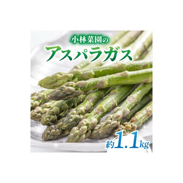 ■お礼品詳細　・内容量：アスパラガス1.1kg（L〜3Lサイズ）　・消費期限：冷蔵保存で１週間程度　・保存方法：お受け取り後はすぐに冷蔵保存し、なるべく早くお召し上がりください　・発送期日：2026年4月上旬〜5月中旬　・配送方法：冷蔵■お...