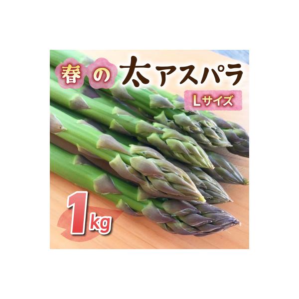 ■お礼品詳細　・内容量：太（L）サイズ：1kg (おおよそ30〜40本)　・消費期限：発送から1週間程度(あくまでも目安となります。状態を確認のうえ,お早めにお召し上がりください)　・保存方法：冷蔵庫で立てた状態で保管して下さい。鮮度が落ち...