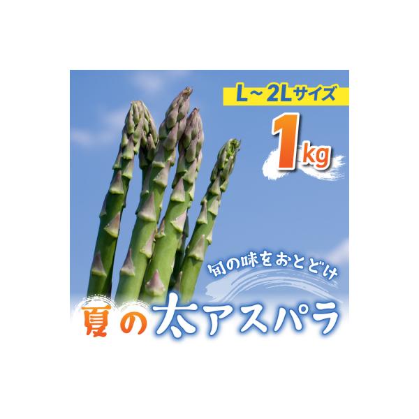 ■お礼品詳細　・内容量：太（L〜２L）サイズ：1kg (おおよそ25〜35本)　・消費期限：発送から1週間程度(あくまでも目安となります。状態を確認のうえ,お早めにお召し上がりください)　・保存方法：冷蔵庫で立てた状態で保管して下さい。鮮度...
