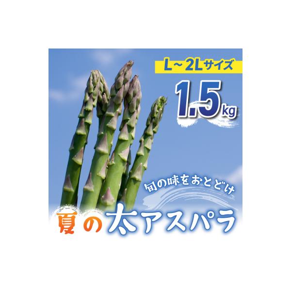 ■お礼品詳細　・内容量：太（L〜２L）サイズ：1.5kg (おおよそ35〜50本)　・消費期限：発送から1週間程度(あくまでも目安となります。状態を確認のうえ,お早めにお召し上がりください)　・保存方法：冷蔵庫で立てた状態で保管して下さい。...