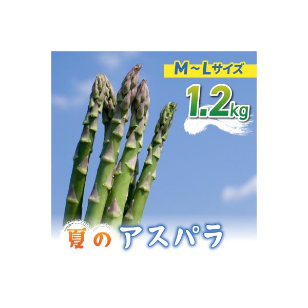 ■お礼品詳細　・内容量：細（M〜L）サイズ：約1.2kg (おおよそ40〜60本)　・消費期限：発送から1週間程度(あくまでも目安となります。状態を確認のうえ,お早めにお召し上がりください)　・保存方法：冷蔵庫で立てた状態で保管して下さい。...