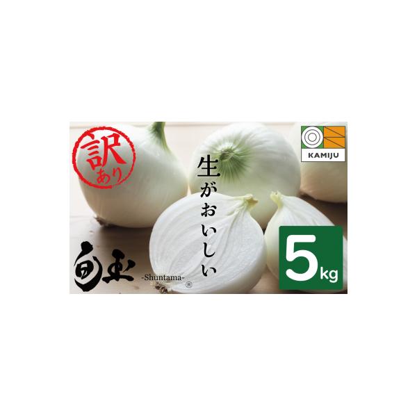 ■お礼品詳細　・容量：訳あり　5kg(大小サイズ混合　季節により変わります) ※箱の重さを含みます　・消費期限：出荷から1週間程度　・アレルギー品目：特定原材料8品目は使用していません  特定原材料に準ずるもの20品目は使用していません　・...