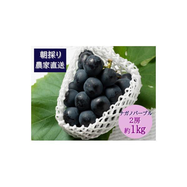 ■お礼品詳細　・地場産品基準番号：1　・地場産品に該当する理由：市内で生産し又は水揚げをした「農林水産物」であるためです。　・賞味期限：別途ラベルに記載　・返礼品提供事業者：たかやのぶどう　・配送方法：冷蔵配送　・お届け時期：出荷準備でき次...