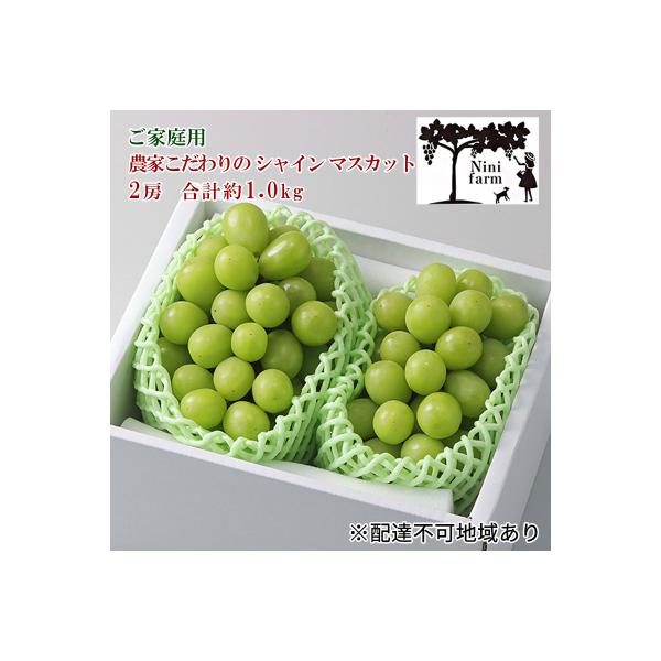 ■お礼品詳細　・内容量：ご家庭 シャインマスカット 2房×約500g 合計約1.0kg 岡山県内産（5条8号ハ）　・賞味期限：出荷日より冷蔵10日　・配送方法：冷蔵配送　・事業者：Nini farm　・備考：お届け日の指定、時間帯の指定は申...
