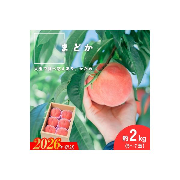 ■お礼品詳細　・事業者：種まきうさぎ株式会社　・内容量：約2kg(5〜7玉)　・賞味期限：発送日+3日程度　・配送方法：冷蔵便　・アレルギー：もも■お申し込み・配送・その他　・発送時期：2026年7月下旬から2026年8月中旬発送予定（お届...