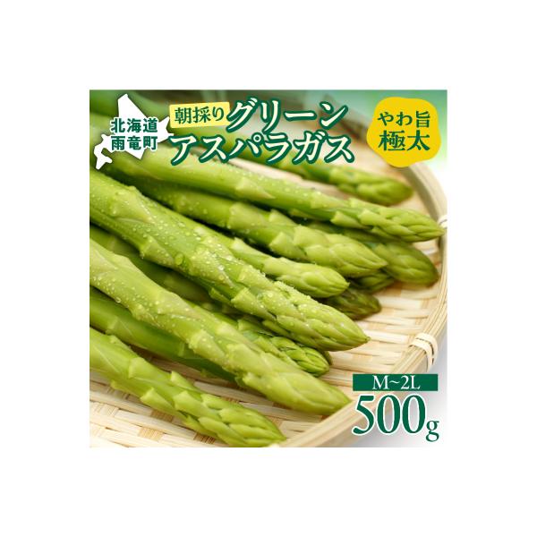 ■お礼品詳細　・内容量：グリーンアスパラ(500g)M〜2Lサイズ　・消費期限：発送日+5日　できるだけ早めにお召しあがり下さい。　・申込期日：〜2026年3月31日　・発送温度帯：冷蔵　・発送時期：2026年4月中旬頃より、順次発送させて...