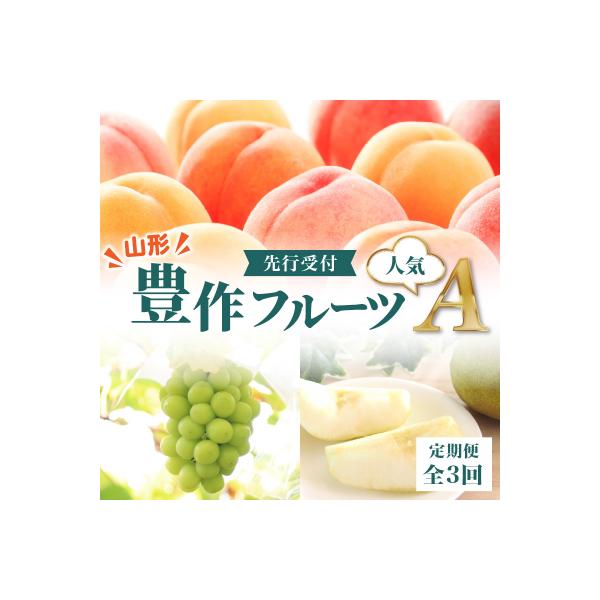 ■お礼品詳細　・配送方法：通常便(定期便)■お申し込み・配送・その他　・発送時期：発送可能時期より順次発送予定（お届け時間帯指定可）　・申込受付期間：〜2026年09月15日　・配達外のエリア：離島、沖縄県　・寄付証明書の送付時期目安：申込...