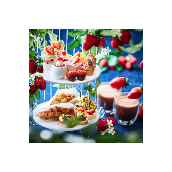 ■お礼品詳細　・配送方法：通常便■お申し込み・配送・その他　・発送時期：★渋谷区では仕様上、お礼品発送通知メールを送付できかねます。【入金確認後、14営業日程度で発送予定】※ポスト投函でお届け予定です。配達日時のご指定はいたしかねます。　・...