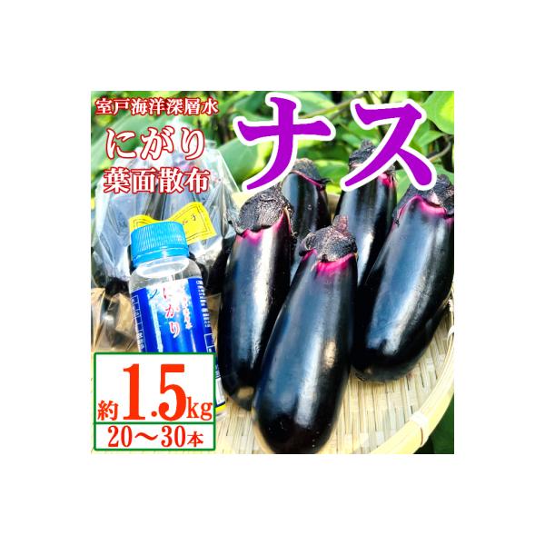 ■お礼品詳細■お申し込み・配送・その他　・発送時期：※7月〜8月は苗の入れ替え、作付け期間となるため発送ができません。 　恐れ入りますが、6月〜8月の間にご寄附いただいた場合、ご入金確認状況により9月下旬から順次発送いたします。 　なお、天...