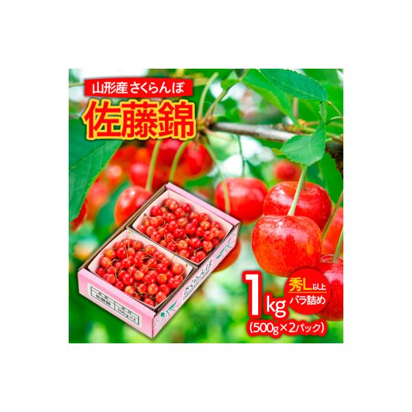 ■お礼品詳細　・配送方法：冷蔵　・事業者：山形農業協同組合(JAやまがた)■お申し込み・配送・その他　・発送時期：2026年06月15日頃〜2026年06月30日頃※状況により配送時期が前後する場合がございます。(着日指定不可)※山形市では...