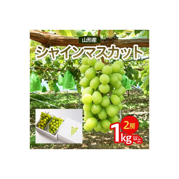 ■お礼品詳細　・配送方法：冷蔵　・事業者：株式会社丸勘山形青果市場■お申し込み・配送・その他　・発送時期：2026年09月20日頃〜2026年10月19日頃※状況により配送時期が前後する場合がございます。(着日指定不可)※山形市では仕様上、...
