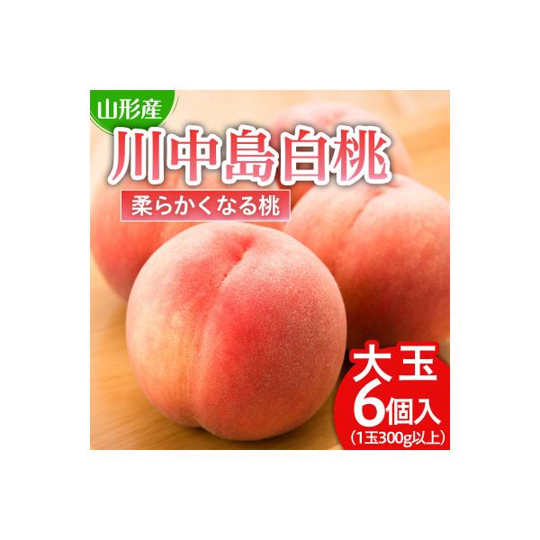 ■お礼品詳細　・配送方法：冷蔵　・事業者：山形多田青果株式会社■お申し込み・配送・その他　・発送時期：2026年08月20日頃〜2026年09月20日頃※状況により配送時期が前後する場合がございます。(着日指定不可)※山形市では仕様上、お礼...