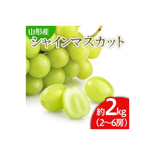 ■お礼品詳細　・配送方法：冷蔵　・事業者：株式会社丸勘山形青果市場■お申し込み・配送・その他　・発送時期：2026年09月15日頃〜2026年10月14日頃※状況により配送時期が前後する場合がございます。(着日指定不可)※山形市では仕様上、...