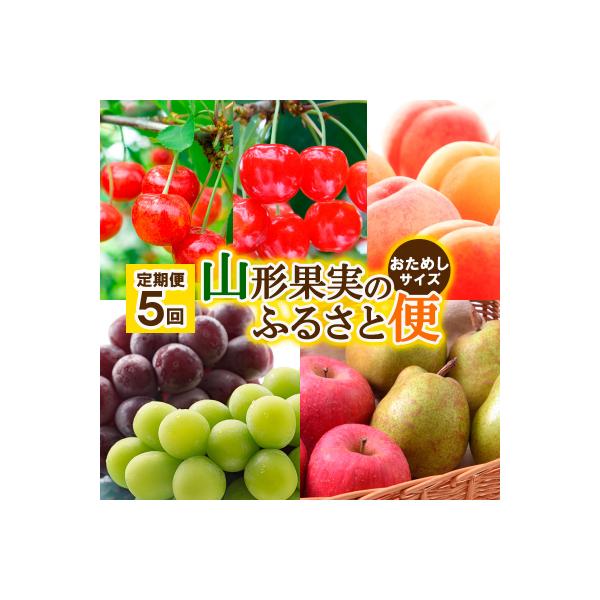 ■お礼品詳細　・配送方法：冷蔵・常温　・事業者：山形多田青果株式会社■お申し込み・配送・その他　・発送時期：2026年06月10日頃〜2026年12月15日頃※状況により配送時期が前後する場合がございます。(着日指定不可)※山形市では仕様上...