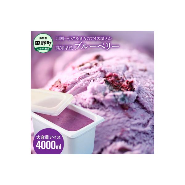 ■お礼品詳細　・配送方法：冷凍　・内容量：4000ml×1個　　【容器の大きさ】縦27cm×横17cm×高さ16cm　・提供元：有限会社 松崎冷菓工業■お申し込み・配送・その他　・発送時期：ご入金確認後、3週間以内に発送予定。（お届け時間帯...