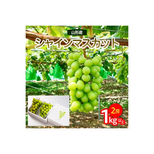 ■お礼品詳細　・配送方法：常温　・事業者：株式会社丸勘山形青果市場■お申し込み・配送・その他　・発送時期：2026年10月20日頃〜2026年11月19日頃※状況により配送時期が前後する場合がございます。(着日指定不可)※山形市では仕様上、...