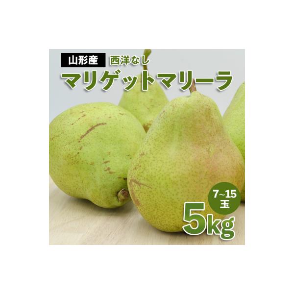 ■お礼品詳細　・配送方法：常温　・事業者：株式会社丸勘山形青果市場■お申し込み・配送・その他　・発送時期：2026年09月05日頃〜2026年10月05日頃※状況により配送時期が前後する場合がございます。(着日指定不可)※山形市では仕様上、...