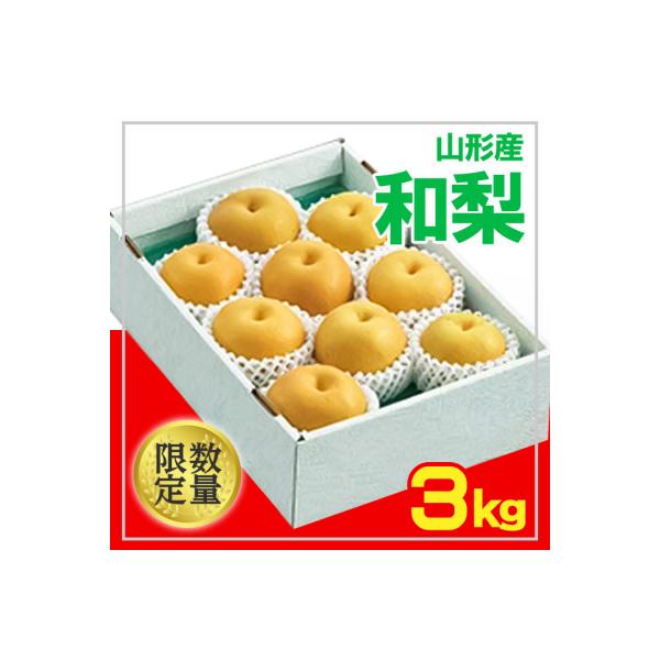 ■お礼品詳細　・配送方法：冷蔵　・事業者：佐竹物産株式会社■お申し込み・配送・その他　・発送時期：2026年09月01日頃〜2026年09月30日頃※状況により配送時期が前後する場合がございます。(着日指定不可)※山形市では仕様上、お礼品発...