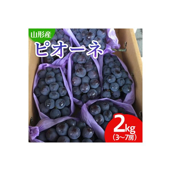 ■お礼品詳細　・配送方法：冷蔵　・事業者：株式会社丸勘山形青果市場■お申し込み・配送・その他　・発送時期：2026年08月20日頃〜2026年09月20日頃※状況により配送時期が前後する場合がございます。(着日指定不可)※山形市では仕様上、...