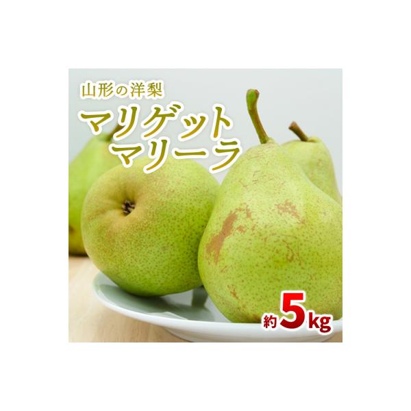 ■お礼品詳細　・配送方法：冷蔵　・事業者：山形うまいずマーケット■お申し込み・配送・その他　・発送時期：2026年09月05日頃〜2026年10月05日頃※状況により配送時期が前後する場合がございます。(着日指定不可)※山形市では仕様上、お...