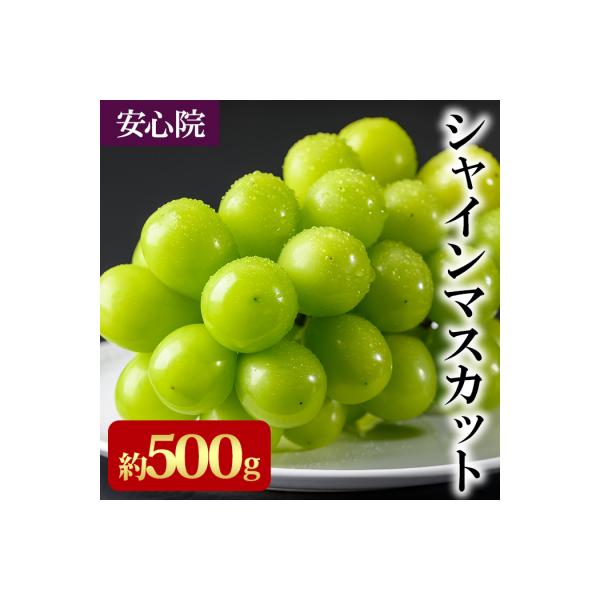 ■お礼品詳細■お申し込み・配送・その他　・発送時期：2026年8月下旬〜10月下旬の間にお申し込み順に発送いたします。※生育状況により多少前後する可能性がございます。（お届け時間帯指定可）　・申込受付期間：9月下旬まで　・配達外のエリア：離...