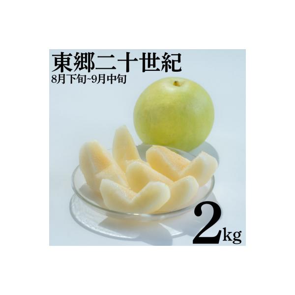 ■お礼品詳細■お申し込み・配送・その他　・発送時期：8月下旬〜9月中旬頃（お届け時間帯指定可）　・申込受付期間：〜2026年3月29日(日)まで　・配達外のエリア：　・寄付証明書の送付時期目安：申込完了日から２週間程度　・提供元：湯梨浜町