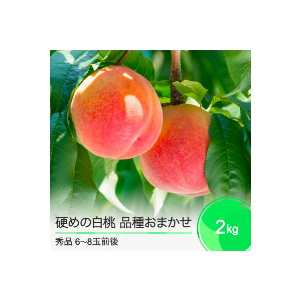 ■お礼品詳細　・内容量：2kg（6〜8玉前後）※玉数は、生育状況や品種によって異なる場合がございます。　・白桃の品種例：美晴、さくら、だて白桃など　※玉数は、生育状況や品種によって異なる場合がございます。　・配送方法：冷蔵　・保存方法：冷蔵...
