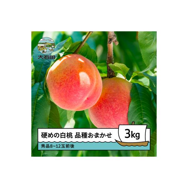 ■お礼品詳細　・内容量：3kg(8~12玉前後)※玉数は、生育状況や品種によって異なる場合がございます。　・発送方法：冷蔵　・保存方法：冷蔵　・提供：山形eLab■お申し込み・配送・その他　・発送時期：2026年8月中旬〜9月上旬頃発送※生...