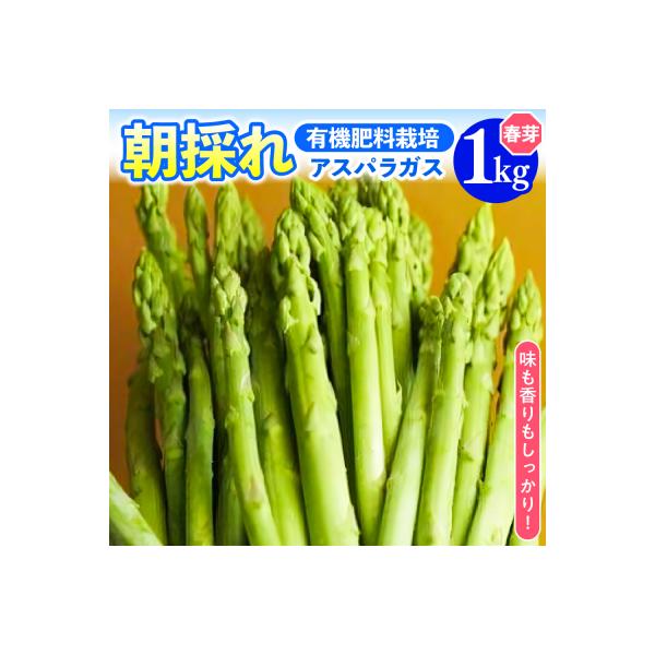 ■お礼品詳細　・提供事業者：株式会社リアクト米沢■お申し込み・配送・その他　・発送時期：春芽:2026年5月中旬頃〜6月中旬頃まで ※期間中のお申込みの場合、入金確認から2週間程度（お届け時間帯指定可）　・申込受付期間：2026年5月26日...