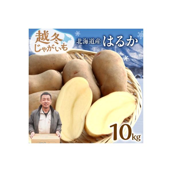 ■お礼品詳細　・配送方法：冷蔵■お申し込み・配送・その他　・発送時期：2026年2月中旬より順次発送いたします。※生育状況や天候により多少前後する可能性がございます。（お届け時間帯指定可）　・申込受付期間：通年　・配達外のエリア：離島、沖縄...