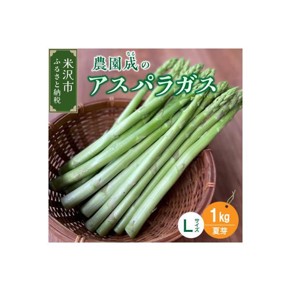 ■お礼品詳細■お申し込み・配送・その他　・発送時期：2026年7月中旬頃〜9月中旬頃まで ※期間中のお申込みの場合、入金確認から2週間程度   長期連休、お盆、年末年始の発送はお受けできません。（お届け時間帯指定可）　・申込受付期間：夏芽:...