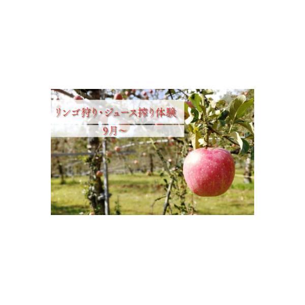 ■お礼品詳細　・内容量：・りんご狩り 入園券・・・大人1枚 ・生搾りジュース体験 ・お土産付き（園主にお任せください。）　・配送方法：メールにて体験チケットをお送りします。 　・有効期限：有効期限は発行から1年■お申し込み・配送・その他　・...