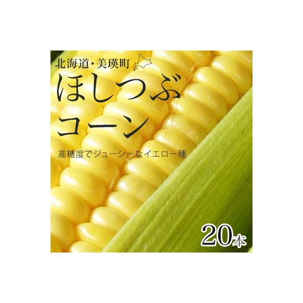 ■お礼品詳細■お申し込み・配送・その他　・発送時期：※令和8年8月中旬から9月中旬までの発送を予定しておりますが、天候により発送時期が前後する場合があります。あらかじめご了承ください。　・申込受付期間：令和8年8月下旬までの受付となります。...