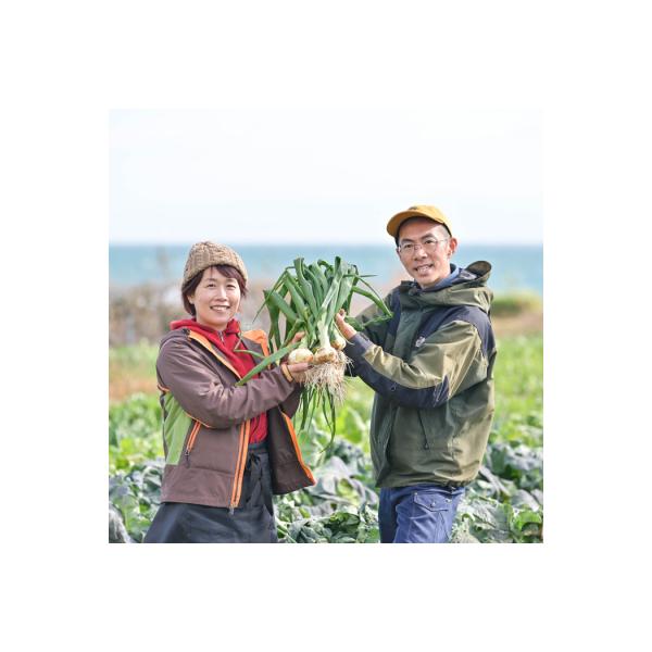 ■お礼品詳細　・配送方法：常温■お申し込み・配送・その他　・発送時期：【発送時期2026年3月中旬〜5月中旬頃】・期間中に収穫でき次第、順次発送いたします。 ・受け取りが難しい日程がある場合は、お申し込み手続きの最後に表示されるアンケート欄...