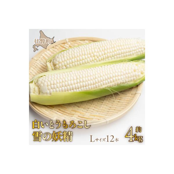 ■お礼品詳細　・内容量：ホワイトコーン「雪の妖精」Lサイズ以上12本 約4kg■お申し込み・配送・その他　・発送時期：8月下旬〜9月上旬頃まで　・申込受付期間：2026年8月20日まで　・配達外のエリア：離島、沖縄県　・寄付証明書の送付時期...