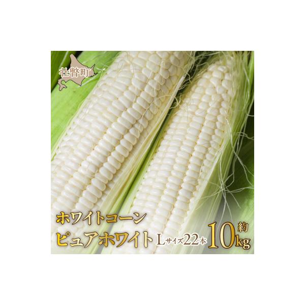 ■お礼品詳細　・内容量：ホワイトコーン「ピュアホワイト」Lサイズ以上22本 約10kg■お申し込み・配送・その他　・発送時期：8月中旬〜9月上旬頃まで　・申込受付期間：2026年8月20日まで　・配達外のエリア：離島、沖縄県　・寄付証明書の...
