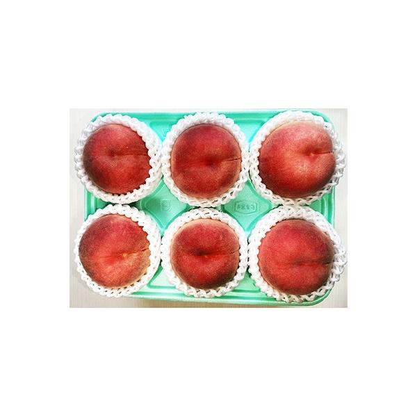 ■お礼品詳細　・配送方法：冷蔵便　・事業者：稲毛果樹園（Inage Orchard）■お申し込み・配送・その他　・発送時期：2026年9月上旬〜9月中旬迄※ご不在日が多く配達が困難な場合、お礼品や配送先の変更をお願いする場合がございます。 ...