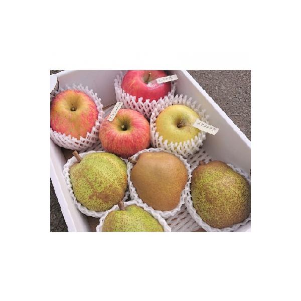 ■お礼品詳細　・配送方法：通常便　・事業者：有限会社　上山観光フルーツ園■お申し込み・配送・その他　・発送時期：2025年10月上旬〜2026年1月下旬迄※出荷期間が長いお品物です。期間の中で順次発送いたしますのでご理解いただけますと幸いで...