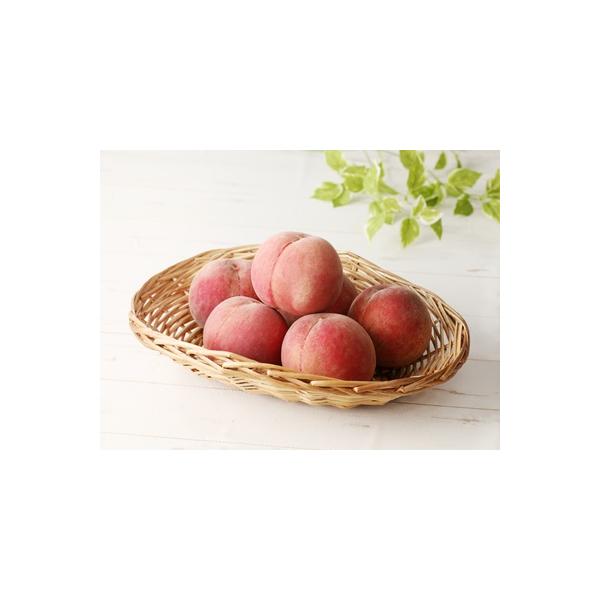 ■お礼品詳細　・配送方法：通常便　・事業者：株式会社くるまや農園■お申し込み・配送・その他　・発送時期：2026年8月下旬〜9月中旬迄※ご不在日が多く配達が困難な場合、お礼品や配送先の変更をお願いする場合がございます。 　・申込受付期間：2...