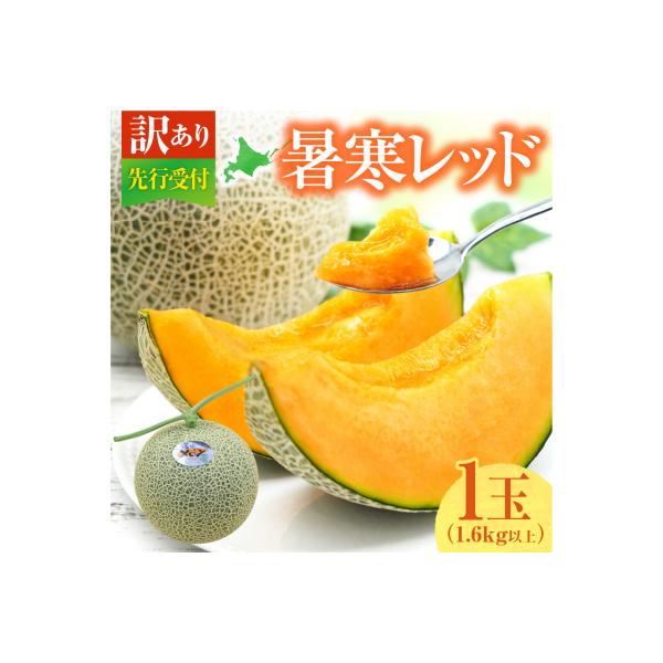 ■お礼品詳細　・容量：〈訳あり〉暑寒レッド 1玉(1.6kg以上×1箱)  合計1.6kg以上　・申込期日：〜2026/8/31　・発送温度帯：常温■お申し込み・配送・その他　・発送時期：2026年9月より発送準備が整い次第発送致します。 ...