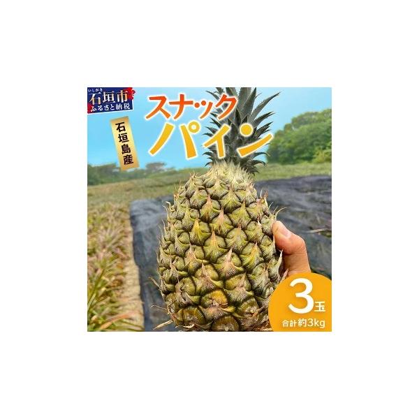 ■お礼品詳細　・配送方法：常温便■お申し込み・配送・その他　・発送時期：2026年5月上旬頃から順次発送いたします。（お届け時間帯指定可）　・申込受付期間：2026年5月下旬頃まで受付いたしております。　・配達外のエリア：　・寄付証明書の送...