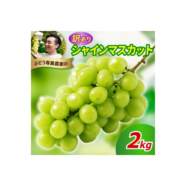 ■お礼品詳細　・提供事業者：島軒果樹園■お申し込み・配送・その他　・発送時期：2026年9月上旬〜10月下旬頃発送予定※生育状況によって前後する場合があります。（お届け時間帯指定可）　・申込受付期間：2026年10月13日まで※数量に達した...