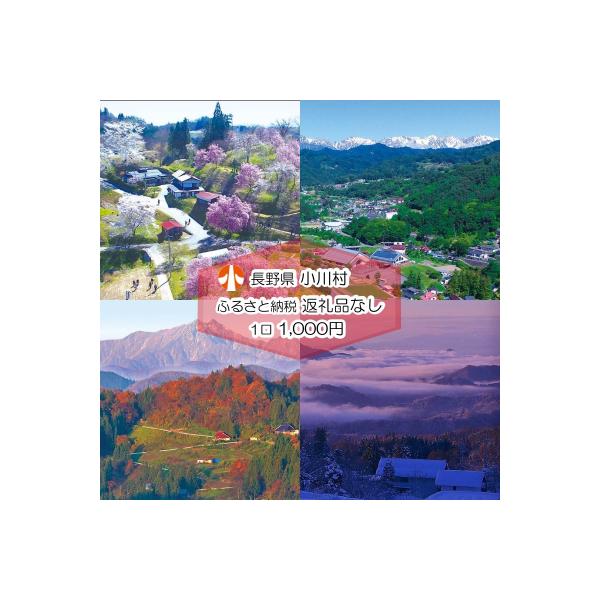 ■お礼品詳細■お申し込み・配送・その他　・発送時期：寄付受付後およそ2週間程度で受領証明書を発送いたします。　・申込受付期間：2025年5月1日から受付　・配達外のエリア：　・寄付証明書の送付時期目安：申込完了日から１ヶ月程度　・提供元：小川村