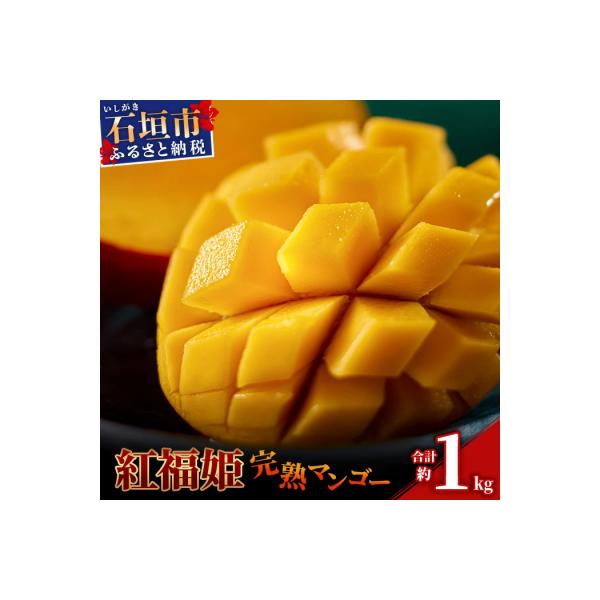 ■お礼品詳細■お申し込み・配送・その他　・発送時期：6月下旬から8月の間に発送予定。天候等により変動する可能性もございます。（お届け時間帯指定可）　・申込受付期間：期間限定　・配達外のエリア：　・寄付証明書の送付時期目安：申込完了日から２週...