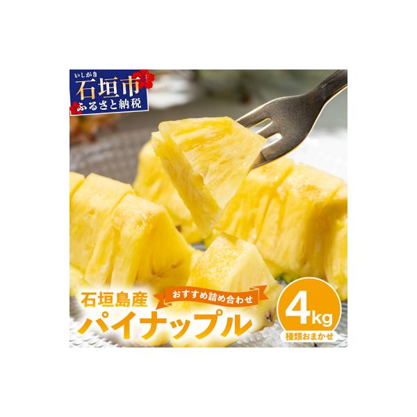 ■お礼品詳細■お申し込み・配送・その他　・発送時期：2026年4月下旬から順次発送いたします。（お届け時間帯指定可）　・申込受付期間：通年　・配達外のエリア：　・寄付証明書の送付時期目安：申込完了日から２週間程度　・提供元：石垣市