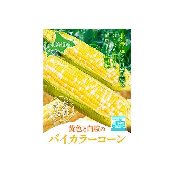 ■お礼品詳細　・配送方法：クール便(冷蔵)　・賞味期限 ：要冷蔵で発送から5日■お申し込み・配送・その他　・発送時期：R8年8月上旬〜9月下旬　・申込受付期間：R8年7月27日まで　・配達外のエリア：　・寄付証明書の送付時期目安：寄付金決済...